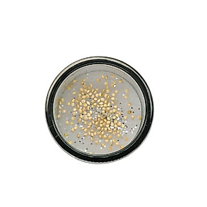 Santa Muerte Agradecimiento