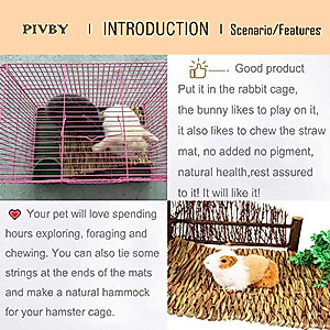 PINVNBY Rabbit Mat for Cages Woven Bunny Grass Bed Nest Chew Toy Bed for Hamsters Parrot Hedgehog Guinea Pig Bunny and Other Small Animals (12 Pack)