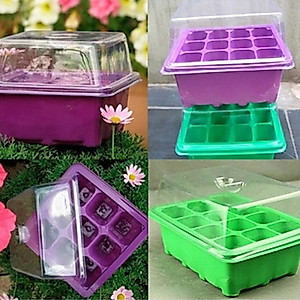 cdar Plant Starter Tray,Nursery Tray,Plant Starter Kit with Dome,Multi-compartments High Survival Rate Plant Flower Grow Box,Propagation Tray for Plant Growing Starting Purple S
