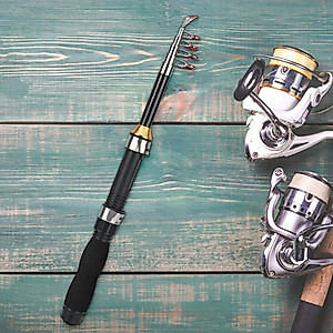 Fishing Rod, Small Sea Mini Fishing Pole Portable Rod Short Pole Ice Fishing Rod Mini Sea Fishing Tools 28049-100(1.2m)