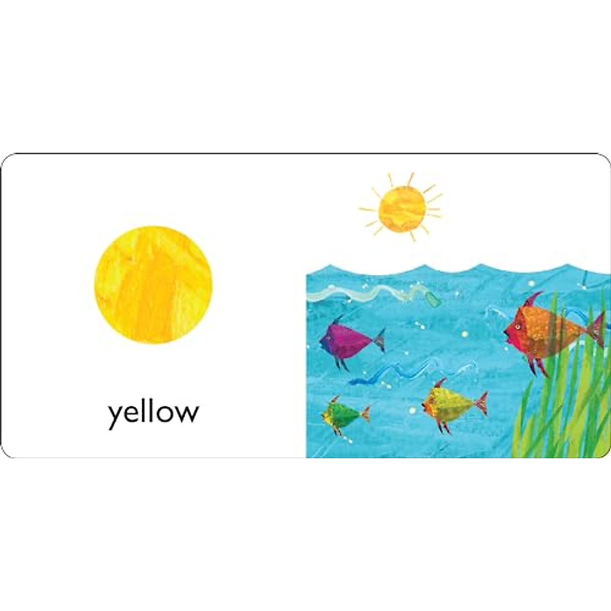 World of Eric Carle, My First Library 12 Board Book Set - First Words, Alphabet, Numbers, and More! Baby Books - PI Kids