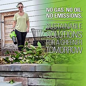 Greenworks 40V (120 MPH / 450 CFM) Cordless Axial Blower, 4Ah USB Battery (USB Hub) and Charger Included