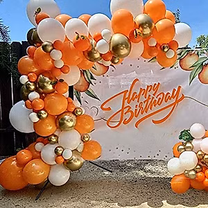 DUBEDAT Orange White Gold Balloon Garland Little Cutie Baby Shower Decorations with Eucalyptus,Orange and White Balloons,Gold Balloons for Girls Birthday,Baby Shower,Gray and Peach Wedding