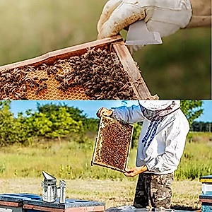 Haymaro Come with Organizer Tote Beekeeping Tools kit for Beginner Starter kit Durable bee Supplies All-in Gift Set 10 Pcs