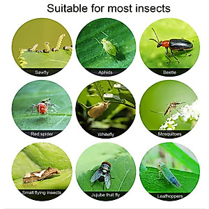 Seabright HGSLTLT Sticky Thrip Leafminer Trap, Pack of 5