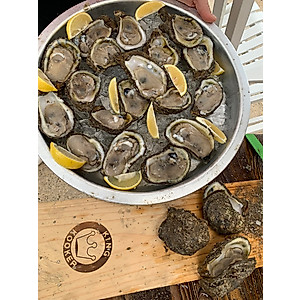 King Kooker 5500 Stainless Steel Oyster Opener, with Oyster Knife