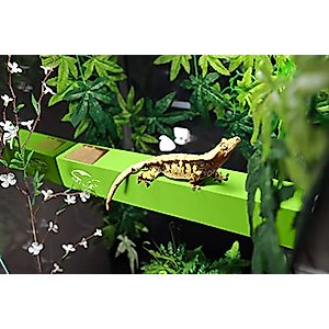 GECKOPIA Reptile Flex Bridge | Reptile Bridge | Gecko Bridge | Gecko Ledge | Reptile Vine | Reptile Terrarium Decoration | Reptile Branch Alternative (Green)