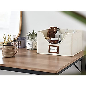 StorageWorks Pantry Storage Bins & StorageWorks Closet Baskets