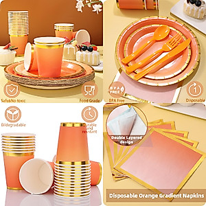Gudvilla Orange Party Decorations, 168Pcs Orange Paper Plates and Napkins Party Supplies, Fall Paper Plates Serve 24, for Birthday Graduation Fall Thanksgving