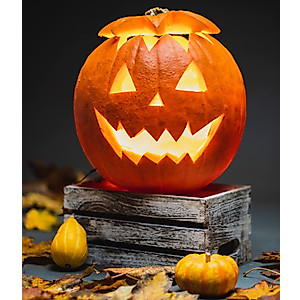 13 Pieces Halloween Pumpkin Carving Kit Professional Stainless Steel Pumpkin Carving Tools Set with Carrying Case for Halloween Pumpkin Decoration