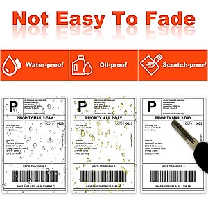 InpourPack 4" x 6" Fanfold Labels Direct Thermal Labels, Shipping Package Labels with Perforated line for Thermal Printers (1000 Labels/Stack, 1 Stack)