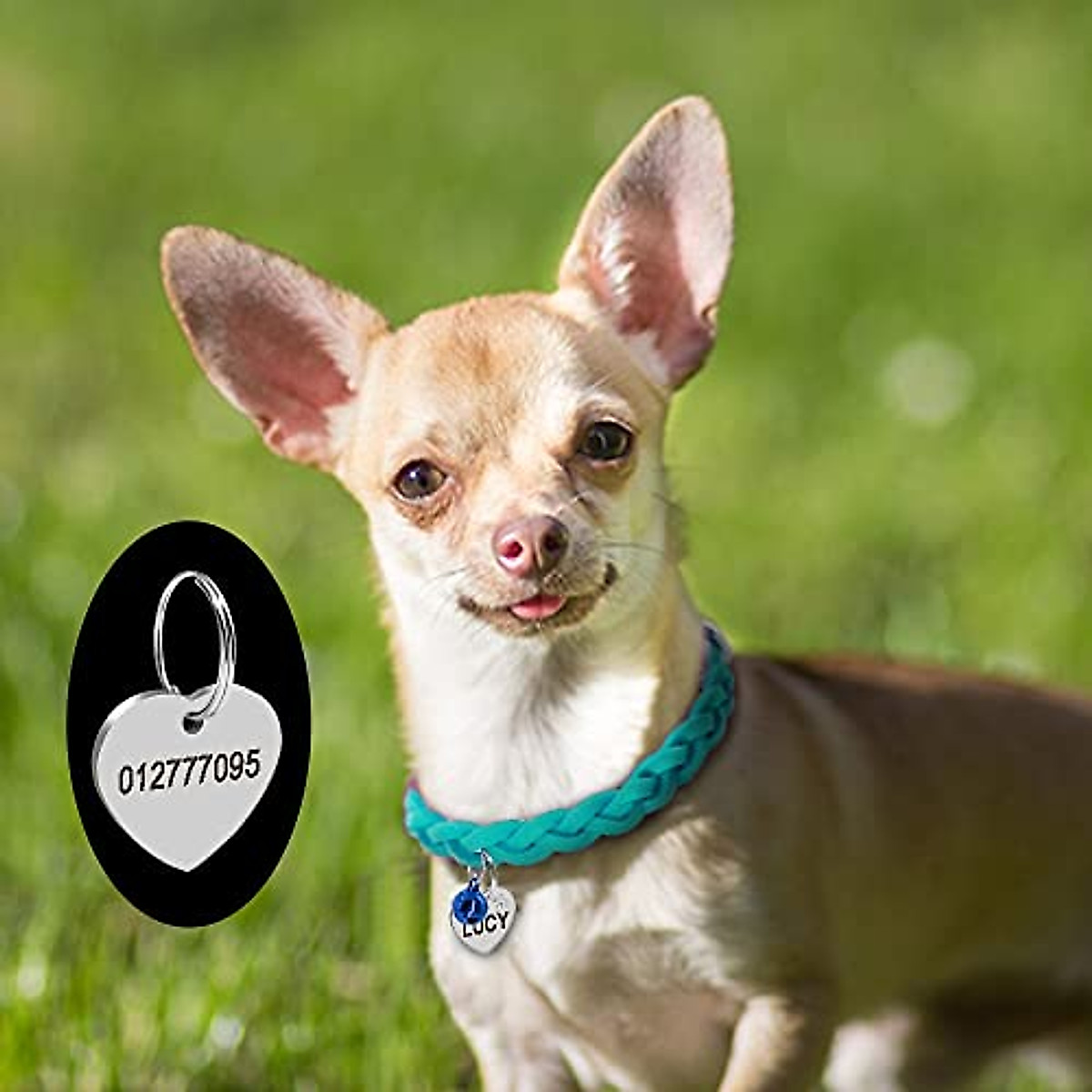 Leather Dog Collar Braided Dog Puppy Cats ID Collar with Name Personalized Engraved for Small Medium Dogs Free Bell (Color : Blue Size : XS Code)