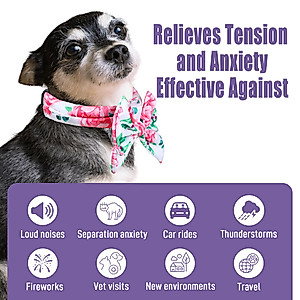 Paw Legend Dog Calming Collar for Dogs Filled with Lavender Anxiety Relief 100% Polyester Adjustable Thunderease Calming Collar (2 Pack, Medium)