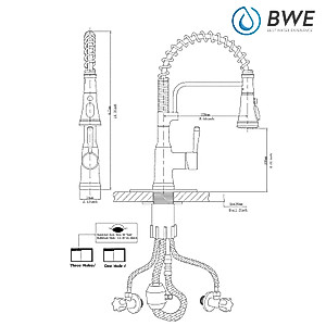 BWE Kitchen Faucet with Pull Down Sprayer, Brushed Nickel, High Arc Single Handle, One Hole, Spring, Commercial RV 3 Functions, Brass Gooseneck with Deck Plate, Fregaderos de Cocina