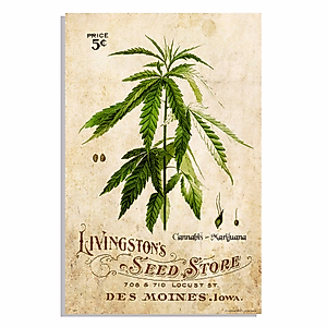 Inspirational Wall Art Co. - Iowa Seed Company - Vintage Patent Seed Packet Marijuana Weed Motivational Quotes Posters - Print Home Gift Dispensary Dorm Game Room Decor - 11X17 inches