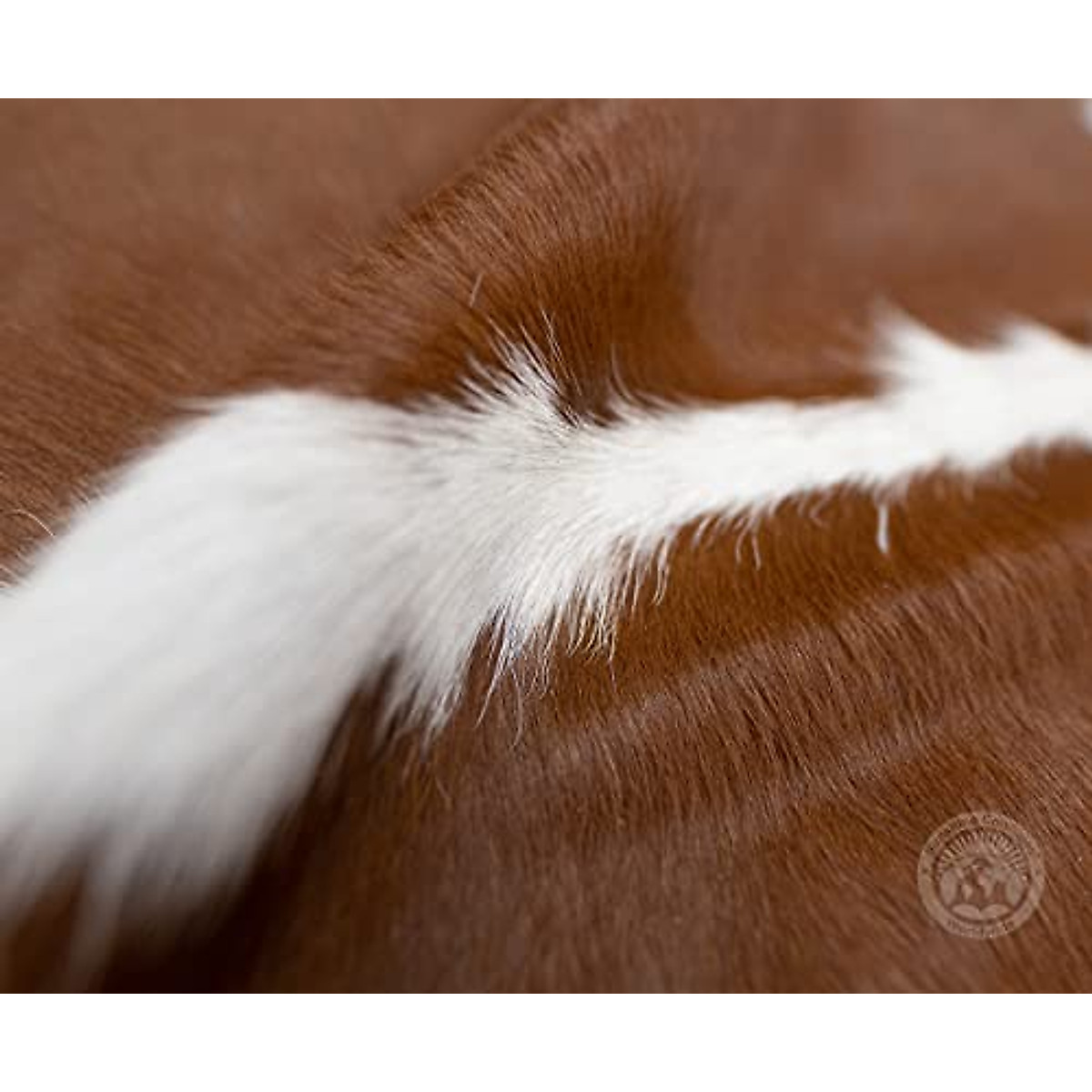 Genuine Hereford Red Brown and White Cowhide Rug Large 6 x 6-7 ft. 180 x 210 cm