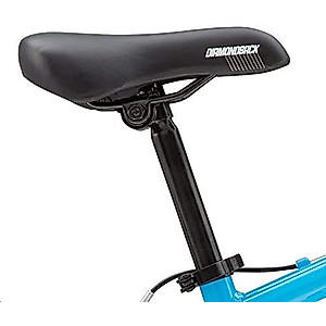 Diamondback Bicycles Octane 20 Youth 20" Wheel Mountain Bike, Blue