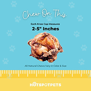 hotspot pets All Natural Beef Knee Caps for Dogs, Dog Bones, Single Ingredient Dog Chews for Aggressive Chewers - Long Lasting Rawhide Alternative Meat Bones