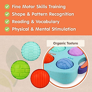 Roo Crew Sensory Toys Learning Tablet 1 - Educational Fidget Toy Set for Kids with Textured Bubbles - 11.5" x 8.25"