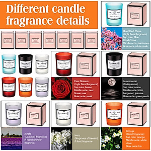 MTLEE 36 Pcs Christmas Candles Bulk Candles for Home Scented Candles Gift Set for Women Long Lasting Aromatherapy Jar Candle for Birthday Teacher Thanksgiving Anniversary(Bright Style)