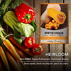 Butternut Squash Seeds for Planting - Waltham Heirloom Non-GMO Winter Storage Vegetable Plant for Home Garden Vegetables Makes a Great Gift for Gardening by Gardeners Basics