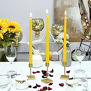 Zest Candle Inch, Yellow 12-Piece Taper Candles, 12", 12 Count