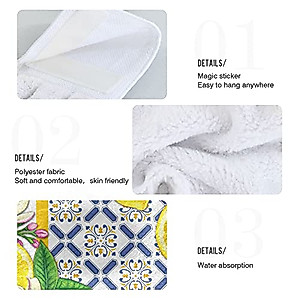 BOENLE Lemon Kitchen Hand Towels Set of 2 Yellow Mediterranean Tile Hanging Tea Towel Bathroom Soft Absorbent Coral Fleece Dish Wash Cloth Decorative