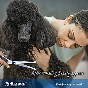 Dog Grooming Scissors Kit with Safety Round Tips, GLADOG Professional 6 in 1 Grooming Scissors for Dogs, Sharp and Durable Dog Grooming Shears for Dogs Cats Pets