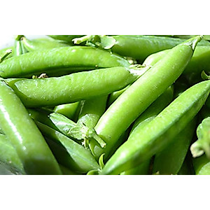 Sugar Ann Snap Pea Garden Seeds, 50+ Heirloom Seeds Per Packet, (Isla's Garden Seeds), Non GMO Seeds, Botanical Name: Pisum sativum