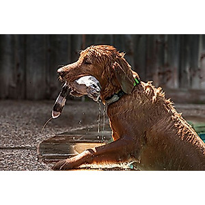 Eureka Technology MARCOPOLO Advanced Pet Monitoring, Tracking and Locating System (for Dogs and Cats 5 lb and Larger)
