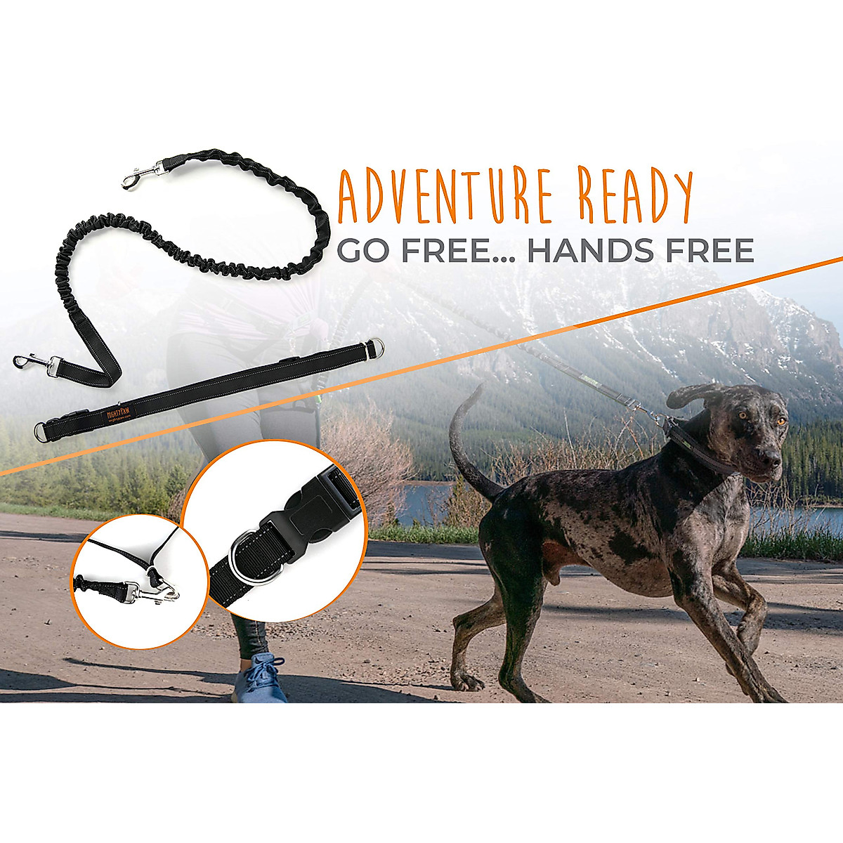 Mighty Paw Hands Free Dog Leash | Bungee Waist Leash for Dog Walking. Dog Running Leash Hands Free. Hands Free Leash for Large Dogs, Medium & Small Dogs. Dog Leash Waist Belt (36" - 48") Up To 150 lbs