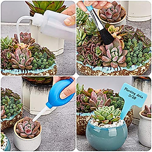 Succulent Tools,19 Pcs Mini Garden Tools Set,Transplanting Tools Miniature Succulent Hand Tools Set with Plant Potting Tarp Mat, Succulent Kit for Indoor Outdoor Miniature Fairy Garden Plant Care