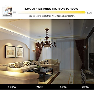 Greeogin Dimmable T6 E12 LED Edison Bulbs,4W Equal 40W Candelabra Incandescent Bulbs, Clear Vintage T25 Tube Light Bulbs for Ceiling Fan, Pendant, Wall scones 12Pack