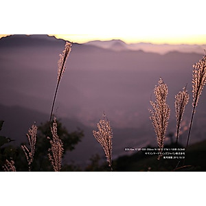 Canon DSLR Camera EOS Kiss X7 with EF-S18-55mm and EF-S55-250mm - International Version (No Warranty)