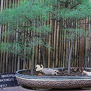 Angoily 3pcs Zen Garden Miniatures Ceramic Crane Figurine Statue Japanese Zen Garden Accessories Fairy Garden Animals for Micro Landscape Terrarium Decor