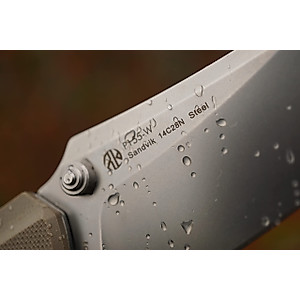 Ruike Camping Tactical Folding Pocket Knife, 14C28N, Liner Lock, Ball Bearing,Fast Opening Flipper,EDC Hunting Survival for Men Women, P155