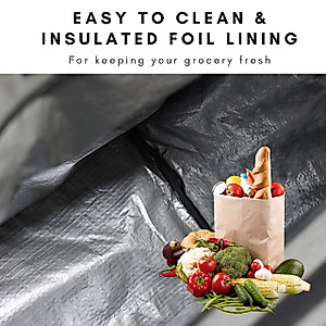 Vincita Jess Bicycle Insulated Grocery Pannier - 24 L Cooler Bike Shopping Bag for Urban Commuter with Large Capacity, Handle, Big Zipper Opening and Reflective Spots