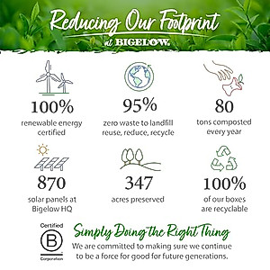 Bigelow Classic Green Tea Decaffeinated, 20 ct