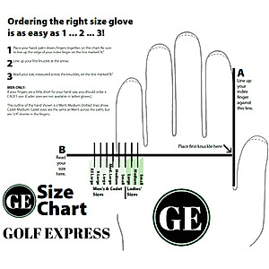 Golf Express TruHeat Winter Golf Glove (Men's Medium, Left)