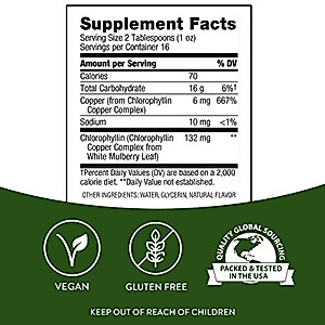 Nature’s Way Chlorofresh, Supports Detoxification Pathways*, Liquid Chlorophyllin Copper Complex, Supports Healthy Skin*, Internal Deodorant*, Mint Flavored, 16 Fl Oz.