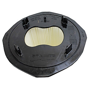 Pentair 27002-0100S Filter Module Replacement Sta-Rite Pool and Spa D.E. Filter