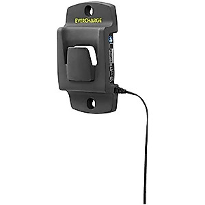 RYOBI P714K 18V One+ Evercharge Cordless Hand Vacuum Kit