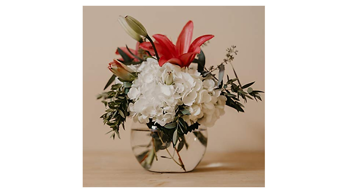 Stylish WGV Bowl Glass Vase for Home Decor