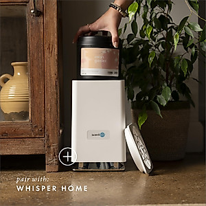 ScentAir Monthly Fragrance Cartridge for Whisper Home - Asian Garden