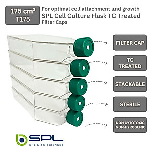 SPL Cell Culture Flask 175 cm2 (T175) Filter Cap, Treated, Sterile 40/Case