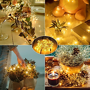 Fairy Lights Battery Operated String Lights - 12 Pack 7ft 20 LED Silver Wire Firefly Lights for Mason Jars DIY Picture Walls Shelves Arts Crafts Trees Branches Bedroom Wedding Party Decor(Warm White)