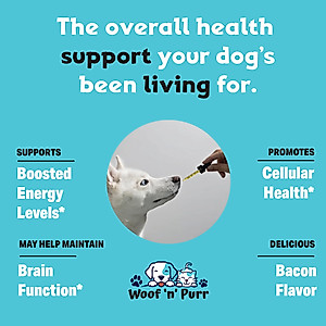 Dog Multivitamin - Multivitamin for Dogs - Helps to Support a Healthier Life - Dog Vitamins and Supplements - Dog Vitamins Multivitamin - Dog Supplements & Vitamins - 1 fl oz - Bacon Flavor