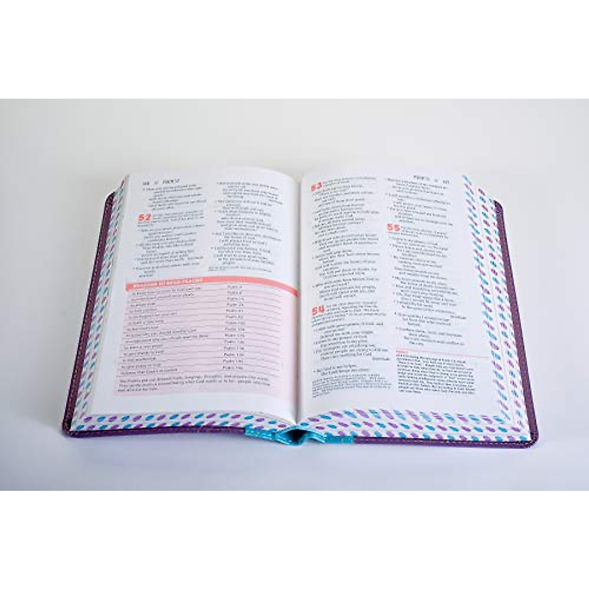 Tyndale NLT Girls Life Application Study Bible, TuTone (LeatherLike, Purple/Teal), NLT Bible with Over 800 Notes and Features, Foundations for Your Faith Sections