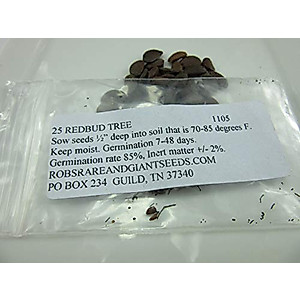 1105-Eastern Redbud Tree (Cercis Canadensis ‎) Seeds by Robsrareandgiantseeds UPC0764425786986 Non-GMO,Organic,USA-Grower,Bonsai, 1105 Package of 25 Seeds