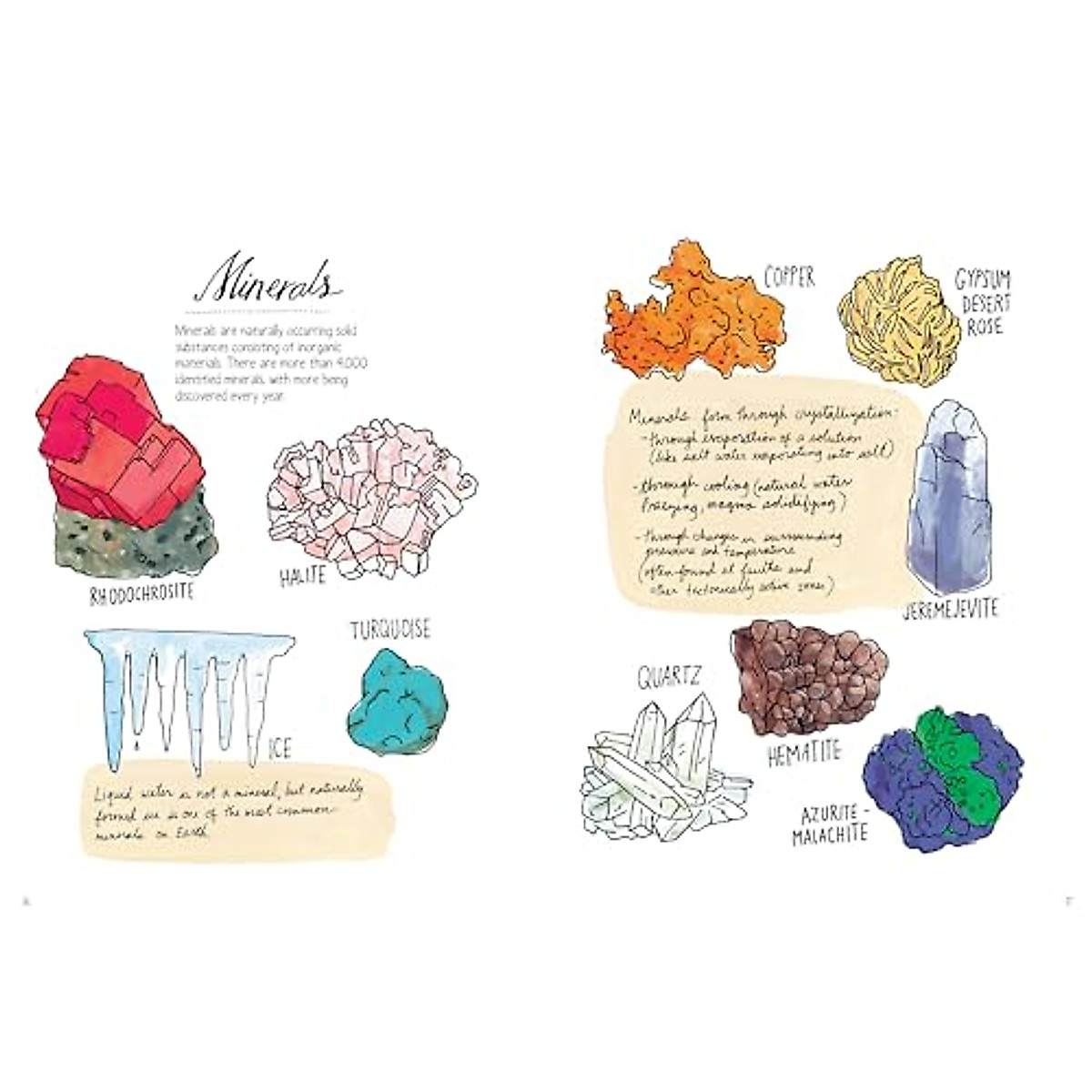 Nature Anatomy: The Curious Parts and Pieces of the Natural World